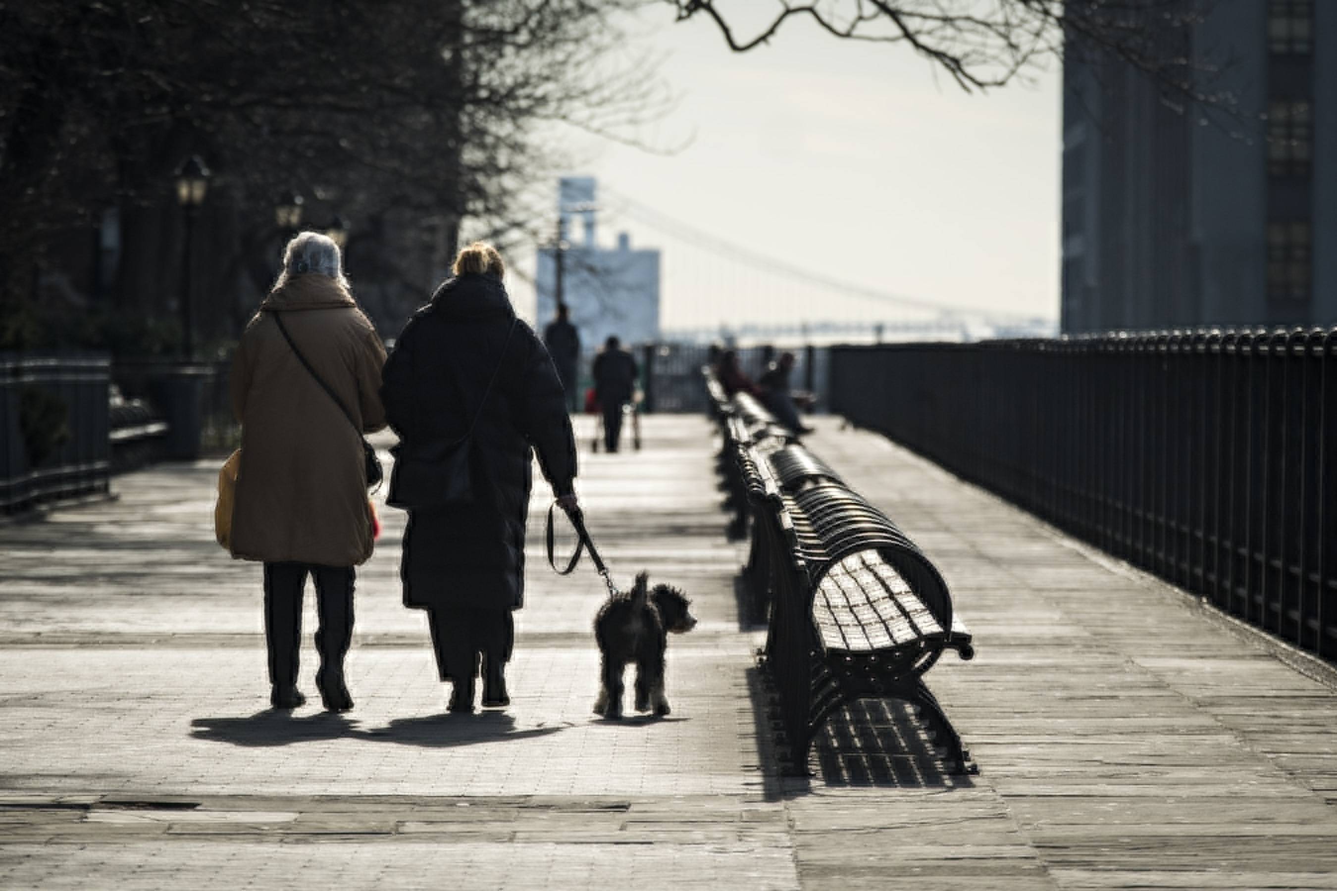 Declaran Código Azul en NY ante ola de frío con riesgo de heladas - Noticias en USA