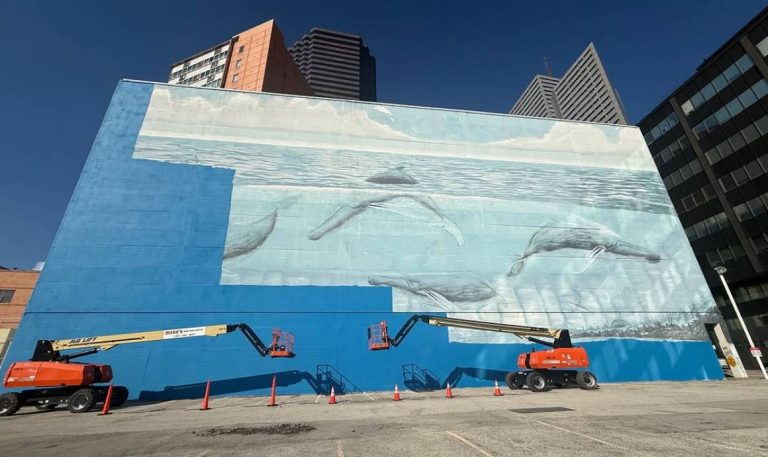 Demanda artista a la FIFA por borrar mural histórico en Dallas ...